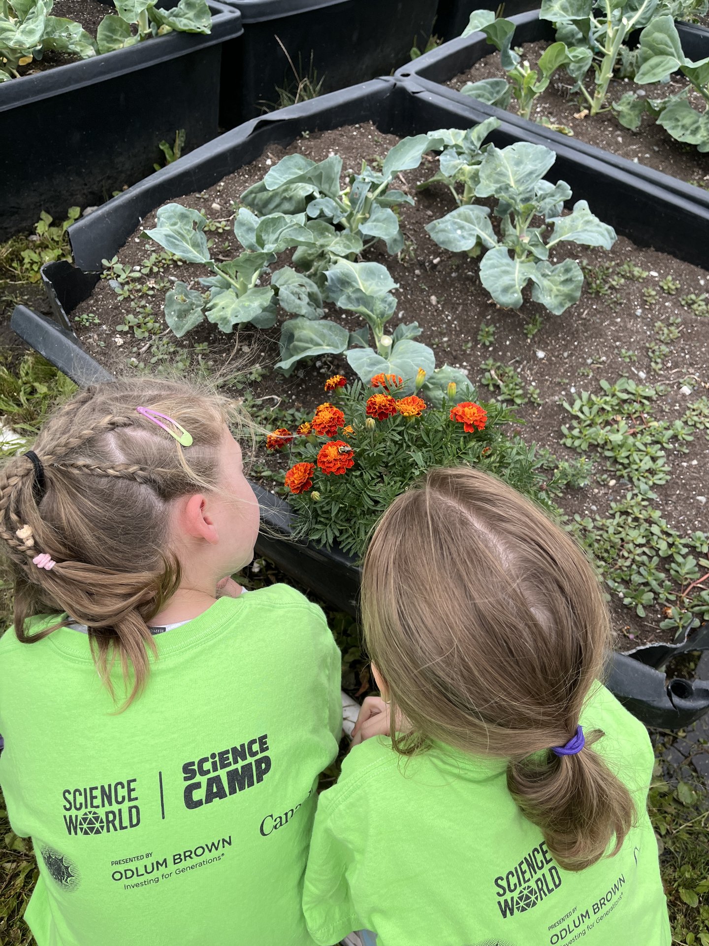 e-Gift Cards - Science World