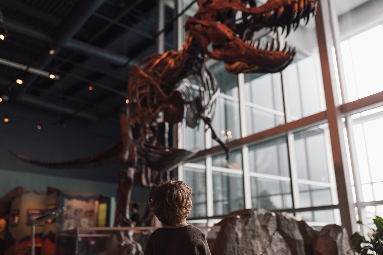 Exhibitions - Science World