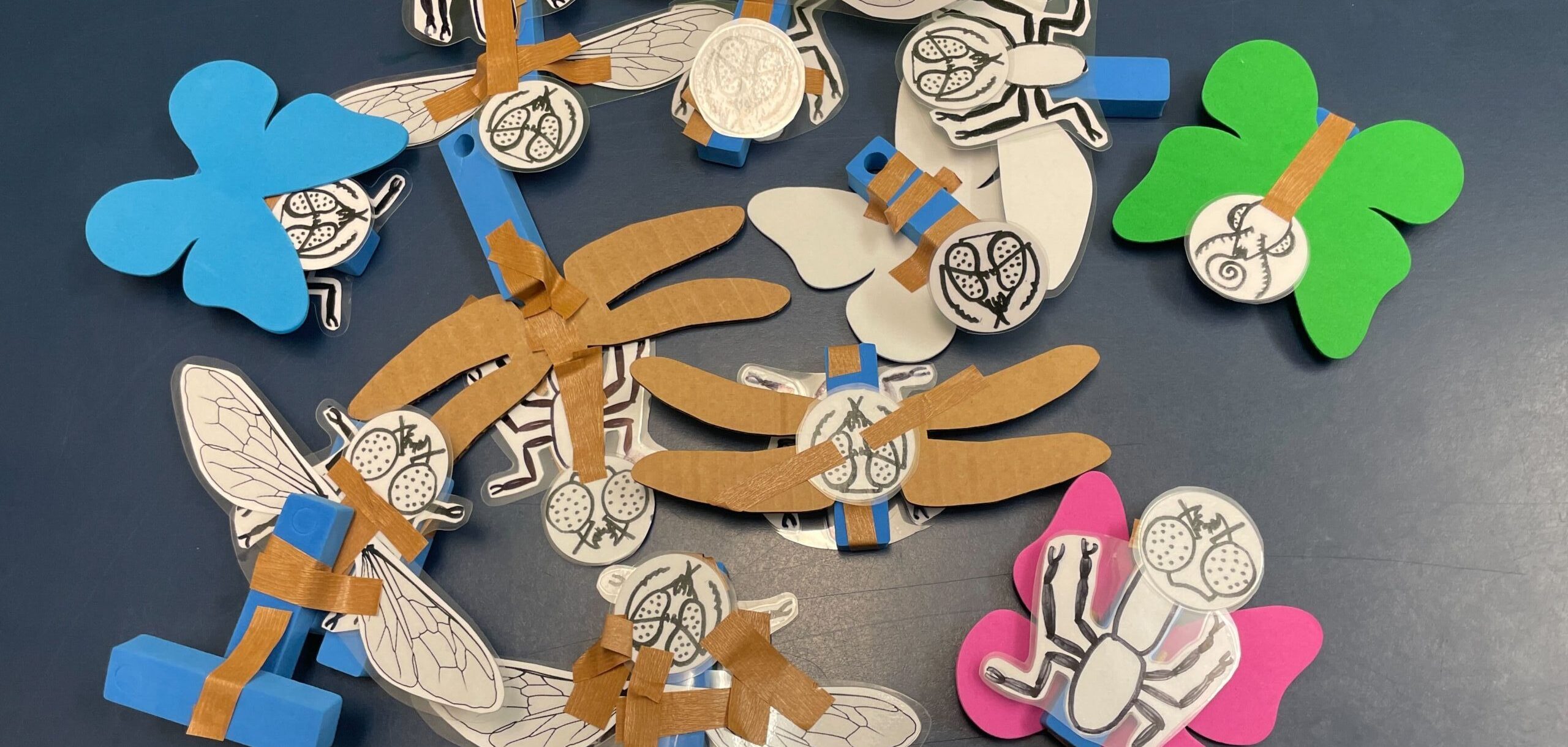 Wings & Things: Exploring Insects, Matter and Motion - Science World