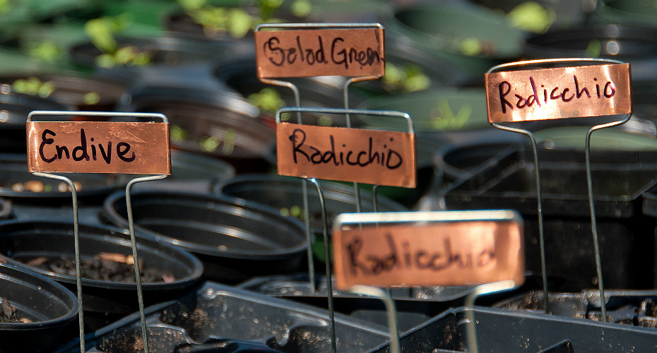 Eggstra Strong Eggs - Science World