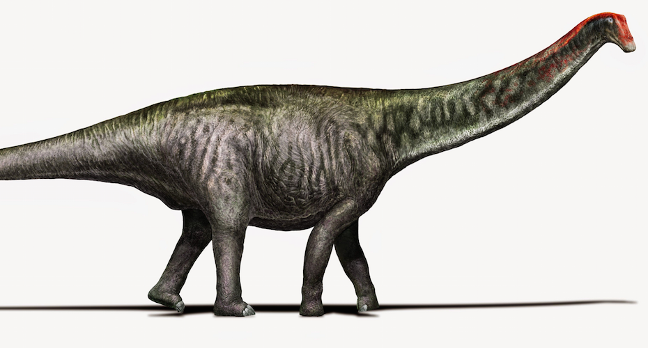 Bringing Back Brontosaurus - Science World