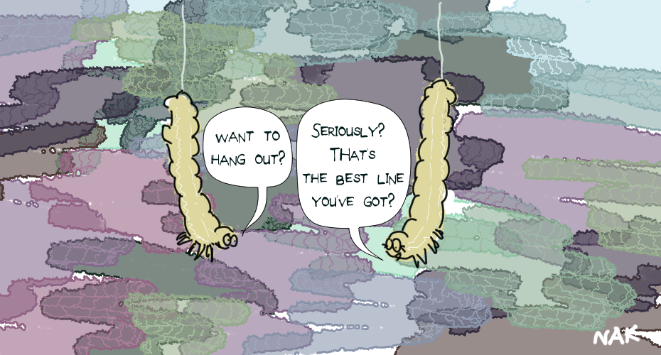 Ever Wonder About Inchworms? - Science World