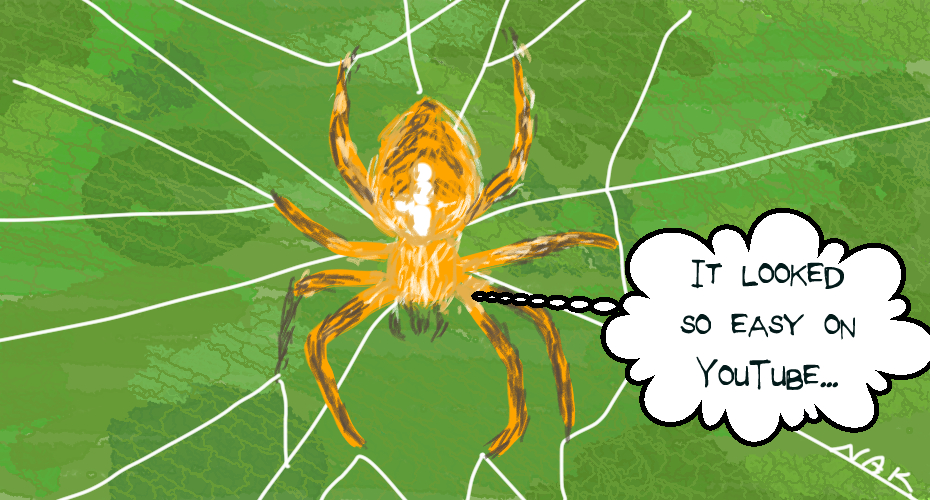 Ever Wonder About Spider Webs? - Science World
