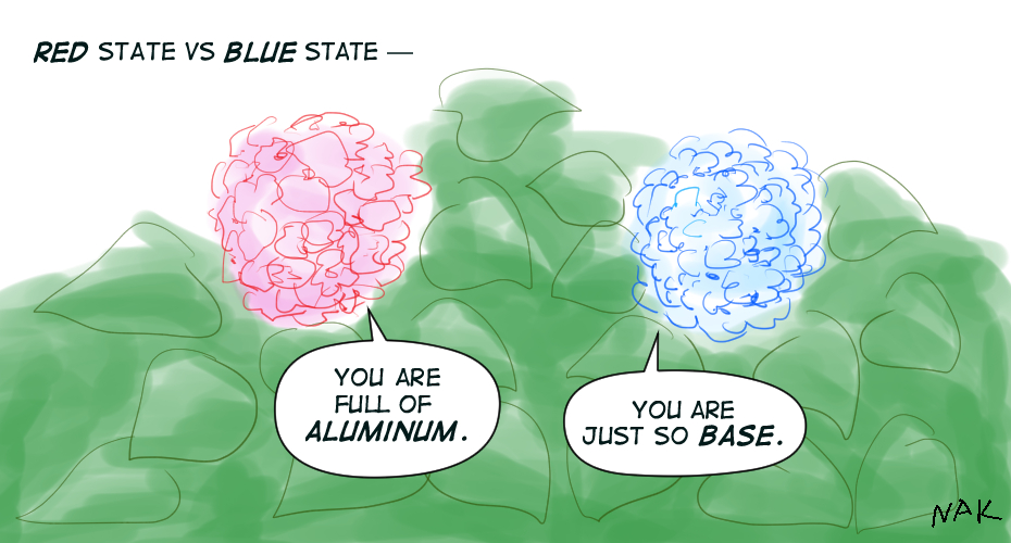 Ever Wonder About Hydrangeas? - Science World