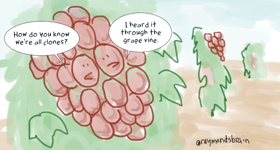 Ever Wonder About Seedless Grapes? - Science World