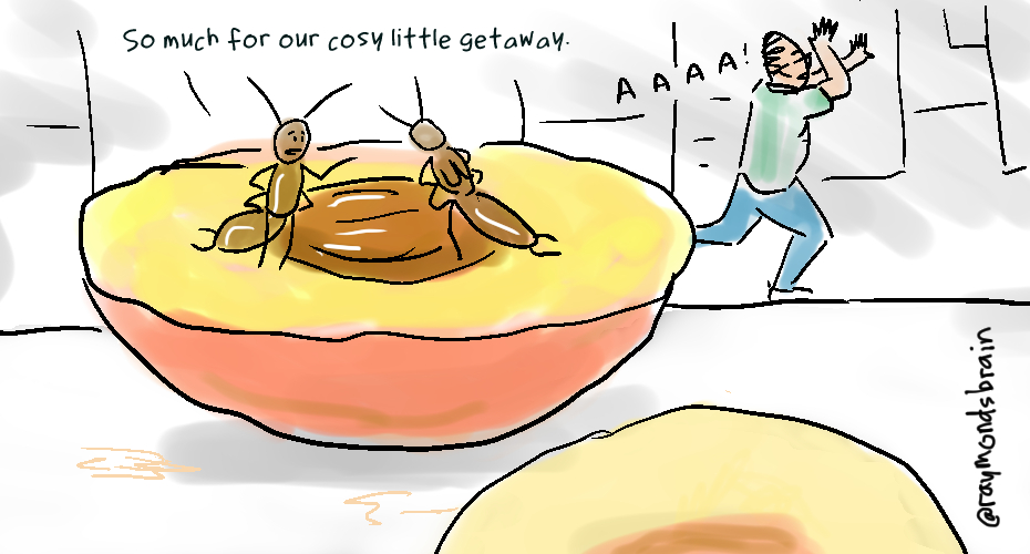 Ever Wonder About Earwigs? - Science World