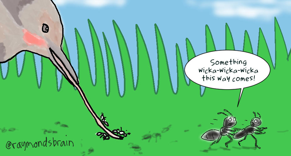 Ever Wonder about Flickers? - Science World