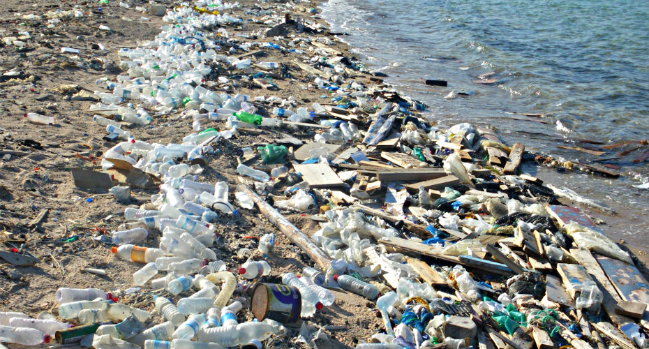 Want to help cleanup our coastline? - Science World