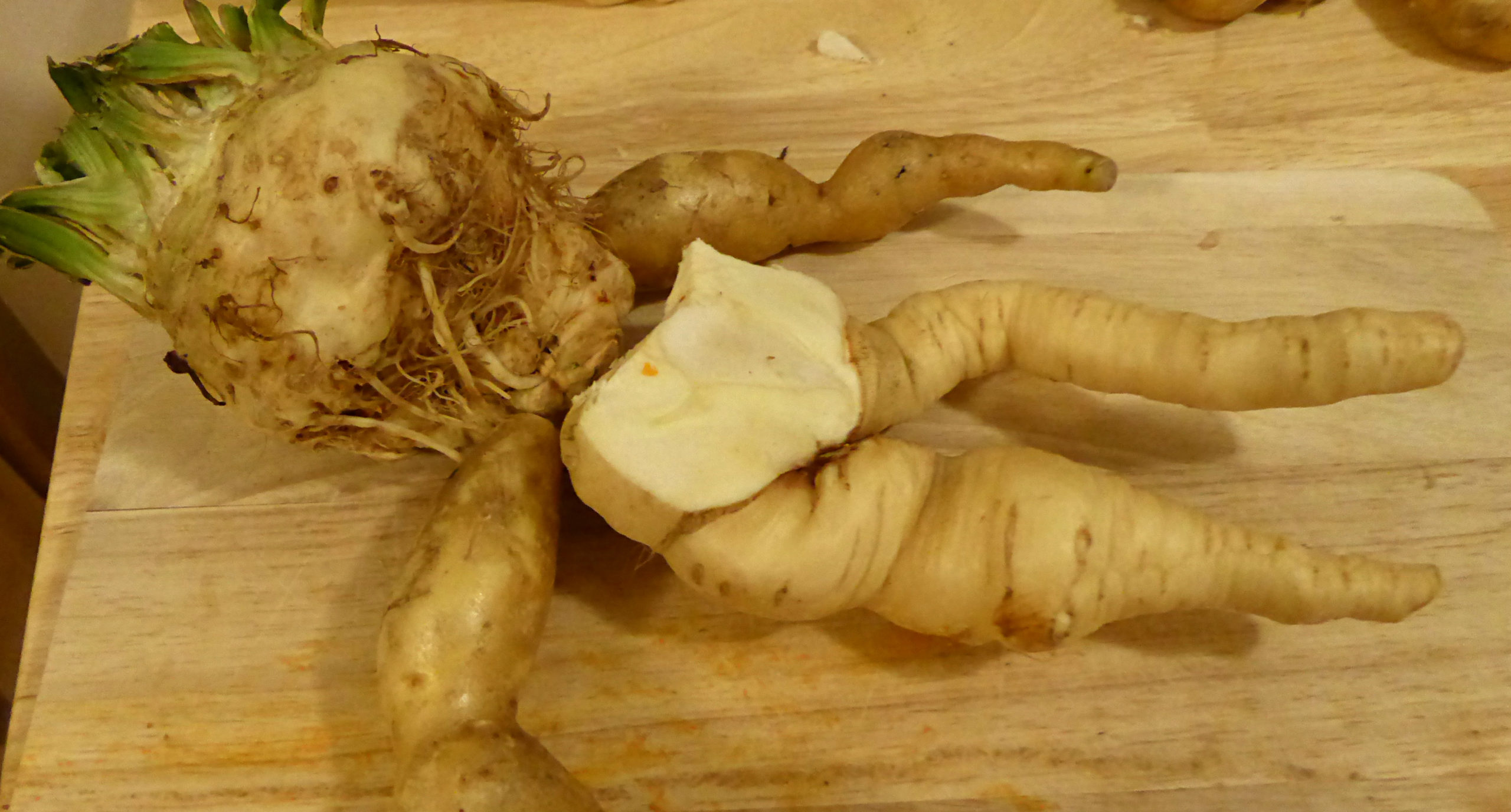 Eat Your Ugly Veggies! - Science World
