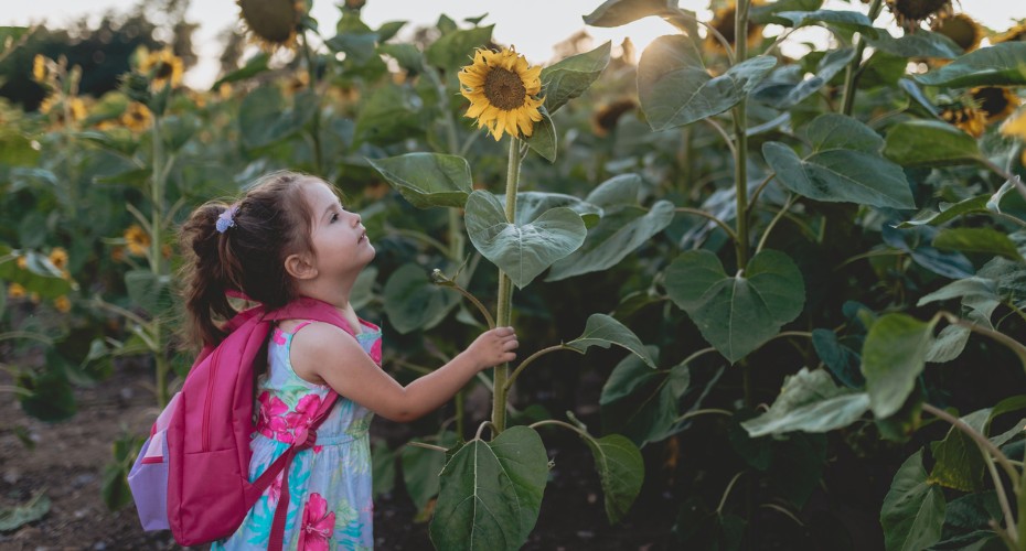 Patterns in Nature: Spots, Stripes, Fingers, and Toes - Science World