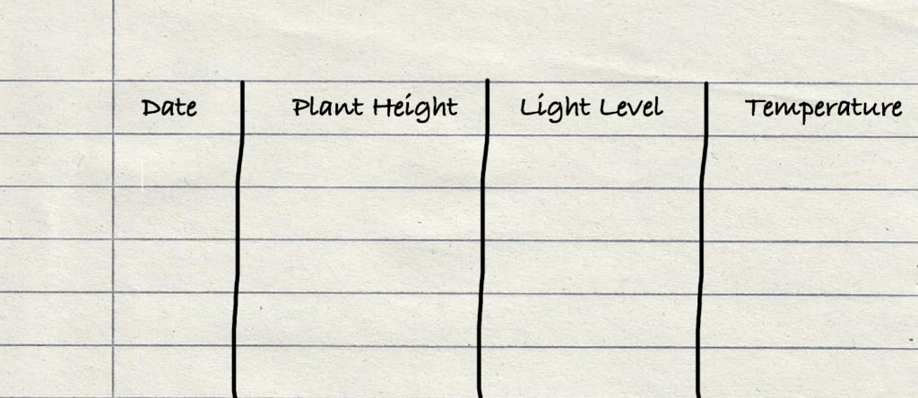 Light Sensing with Micro:bits - Science World